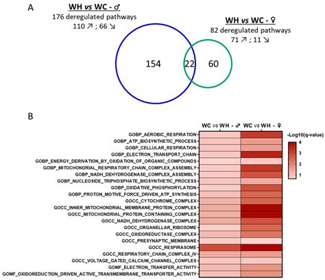 Parison Of Gene Set Enrichment Analysis Gsea Results From The