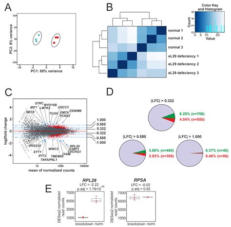Cells Free Full Text Knockdown Of The Ribosomal Protein El29 In