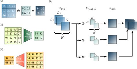 operations in the convolutional layer and the sampling layer a