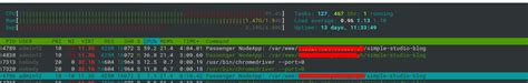 nextjs custom server typescript memory leak · issue