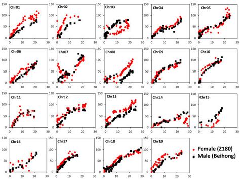 Collinear Analysis Of The Consensus Between Genetic And Physical Maps