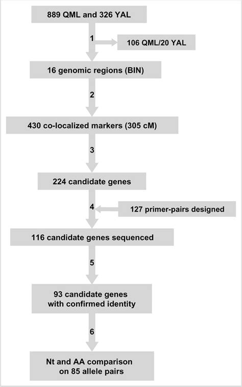 Figure 1 From A Candidate Gene Survey Of Quantitative Trait Loci