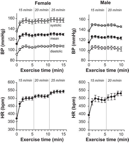 exaggerated cardiovascular responses to treadmill running in rats with