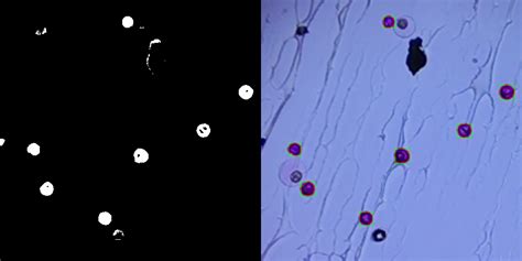 [solved] detect circular objects with specific color opencv