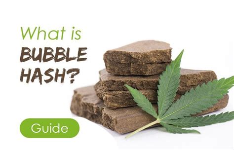What Is Bubble Hash [guide] How To Make Bubbles Hashing Bubbles