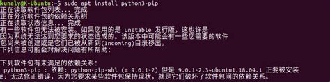 sudo apt install python3 pip error python3 pip dependency python pip