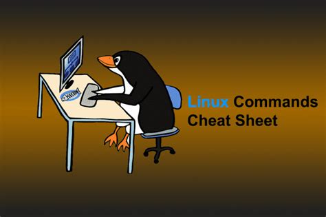 download this cheat sheet to learn basic linux commands