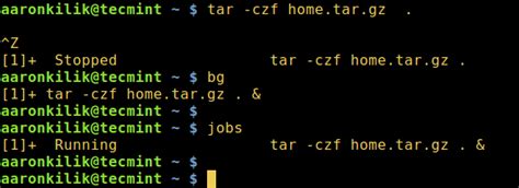 how to start linux command in background and detach process in terminal