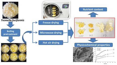 Scielo Brasil Influence Of Drying Methods On The Physicochemical
