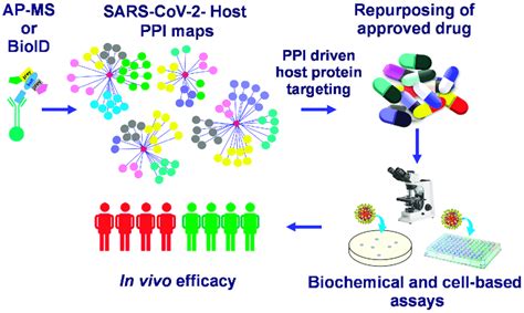 Overview Of Ppis Based Drug Repurposing Sars Cov 2 Interactomes Are