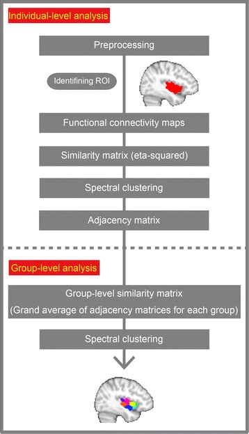 The Procedure For The Functional Connectivity Based Parcellation Of The