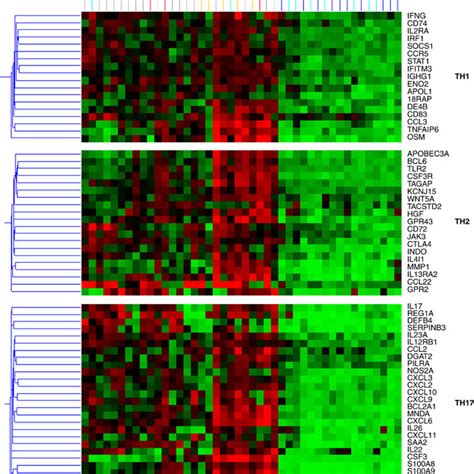 Hierarchical Clustering Analysis Of Responder Patient Samples By