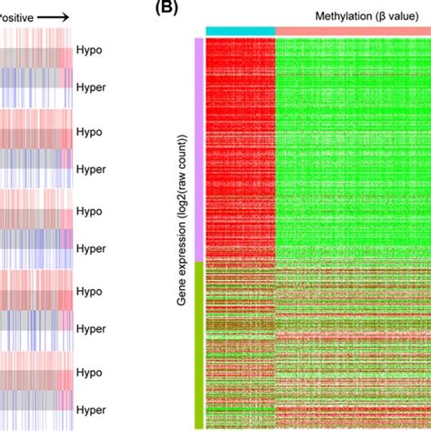 Cis And Trans Regulation Analysis Based On Cpgs β Value And Mrna Download Scientific Diagram