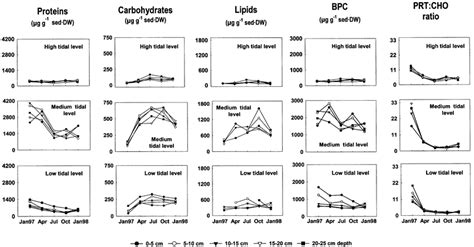 Temporal Variations In The Concentrations Of Carbohydrates Proteins