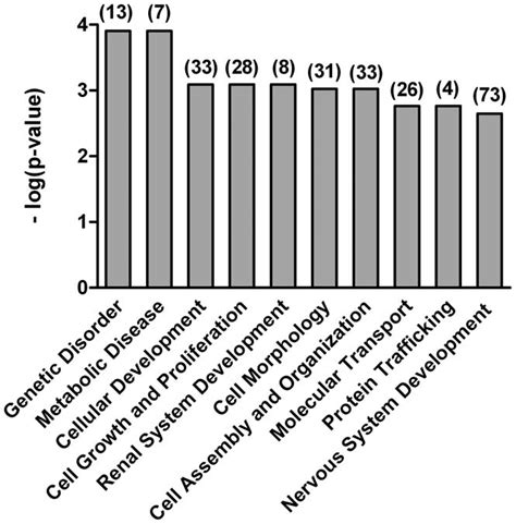 Top Ten Signaling Pathways Regulated By Ngn3 For The Functional