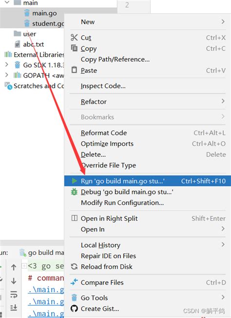 goland编译golang运行报错 ：“ command line arguments“解决方案 csdn博客