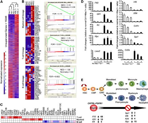 Gene Expression Analysis By Rna Seq Demonstrates Figure 4 Of 5