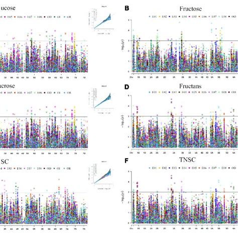 Manhattan And Quantile Quantile Plots Summarizing The Gwas Results