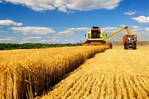 ¿por Qué Este Domingo Se Celebra En Argentina El Día De La Agricultura