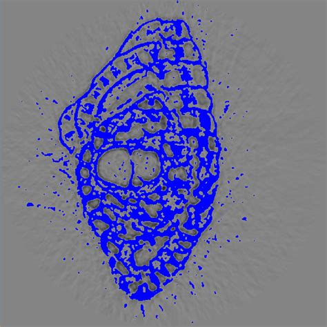 clean up noisy thresholded binary data — advanced visualization
