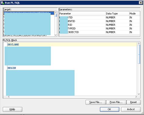 oracle how am i supposed to specify input variables running a