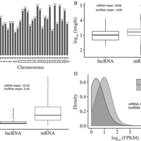 Top 5 Long Noncoding Rna Lncrna And Mrna With The Highest Numbers Of