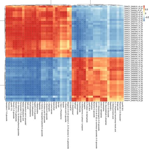 Correlation Heat Map Analysis Of Transcriptome And Metabolome