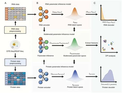 Modeling And Analyzing Single Cell Multimodal Data With Deep Parametric