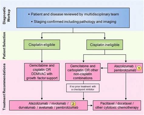 Treatment Algorithm For Advanced Metastatic Bladder Cancer All Of The