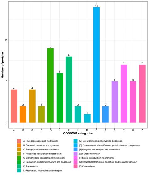 Clusters Of Orthologous Groups Cog Functional Classification Of