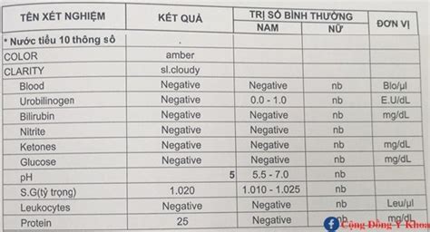 Hướng Dẫn Phân Tích 10 Thông Số Nước Tiểu