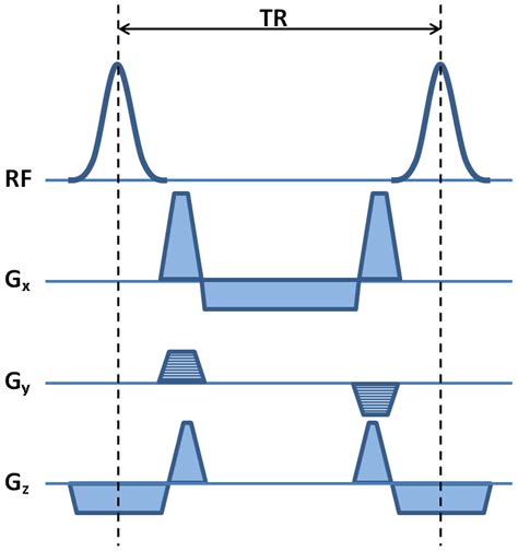 Sequence Diagram Of A Standard Bssfp Sequence Equally Spaced Rf Pulses