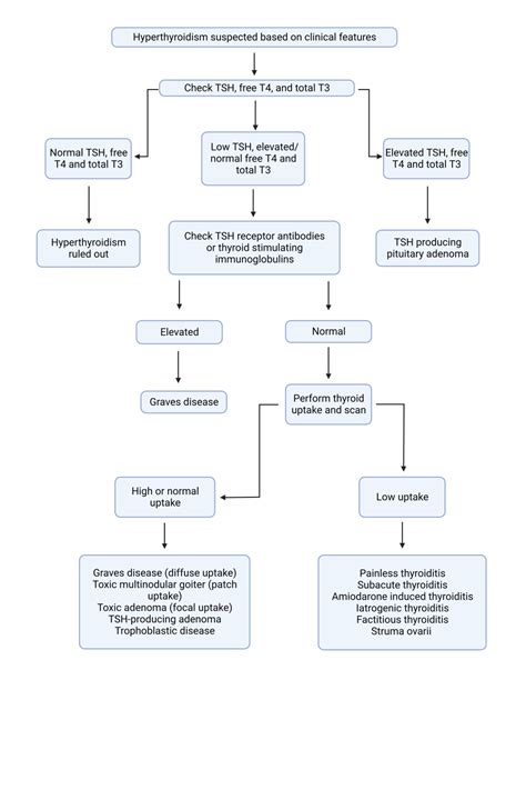 [figure Algorithm For Evaluation Of Patients ] Statpearls Ncbi
