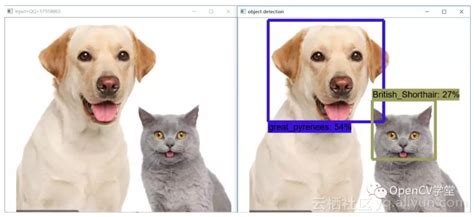 tensorflow object detection api使用之gpu训练实现宠物识别 winfrom控件库 开源控件库