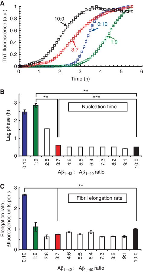 Ab 42 Determines The Kinetics Of Ab Aggregation A Aggregation