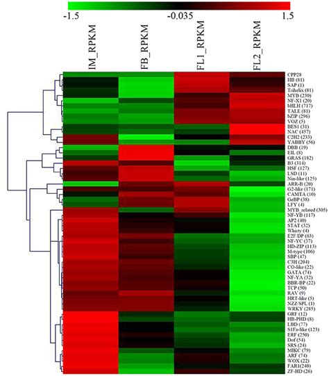Frontiers Transcriptome Analysis And Identification Of Genes