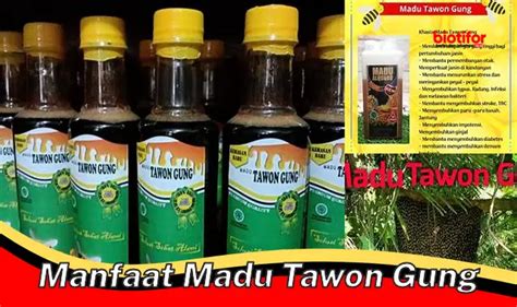 Temukan 5 Manfaat Madu Tawon Gung Yang Jarang Diketahui Biotifor