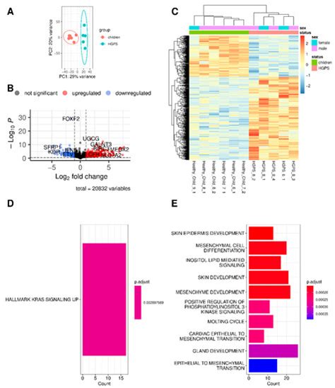 Biomedicines Free Full Text Progeria And Aging—omics Based