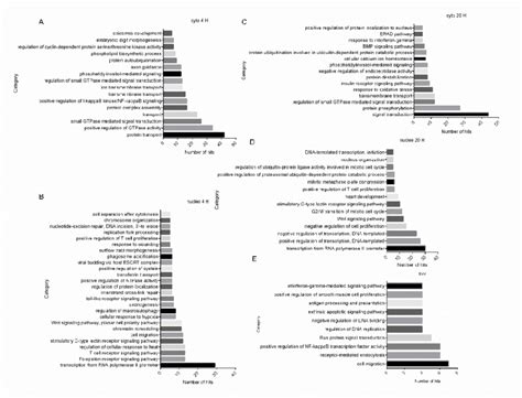 Gene Ontology Analysis Of Differentially Regulated Proteins In