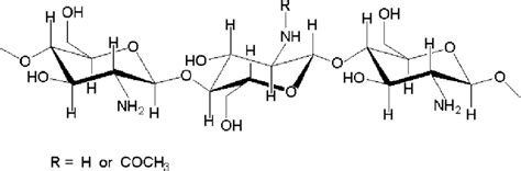 5 Schematic Representation Of Chitosan Structure A Biopolymer Composed