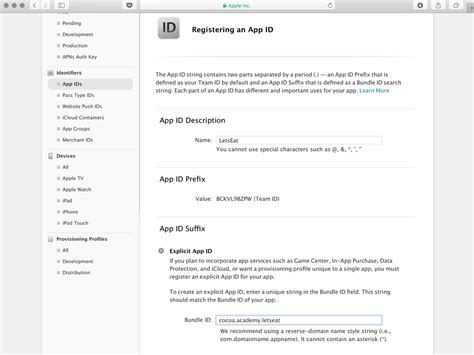 creating a bundle identifier ios 10 programming for beginners