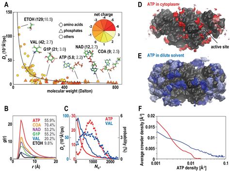 Figures And Data In Biomolecular Interactions Modulate Macromolecular