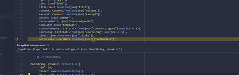 flutter typeerror type null is not a subtype of type map