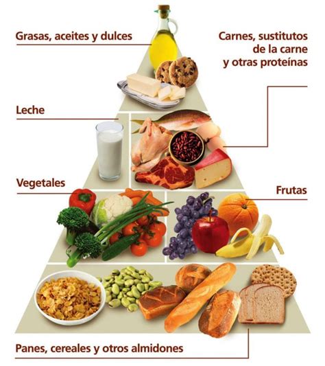 Claves Para Mantener Una Buena Nutrición Sinónimo De Una Buena Salud