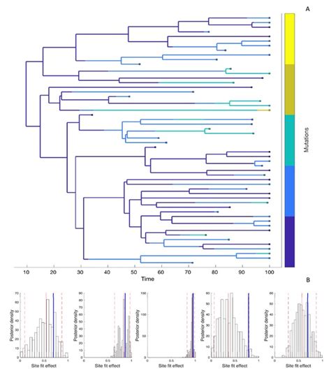 Figures And Data In Coupling Adaptive Molecular Evolution To
