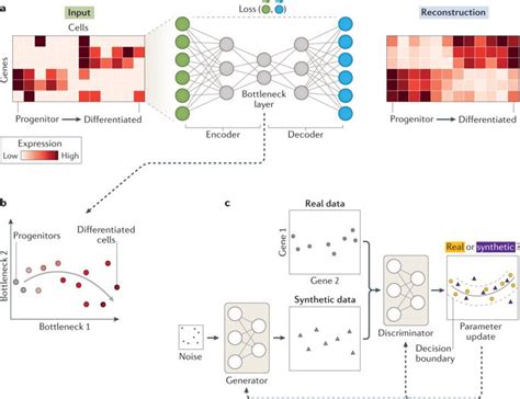 Deep Learning New Computational Modelling Techniques For Genomics