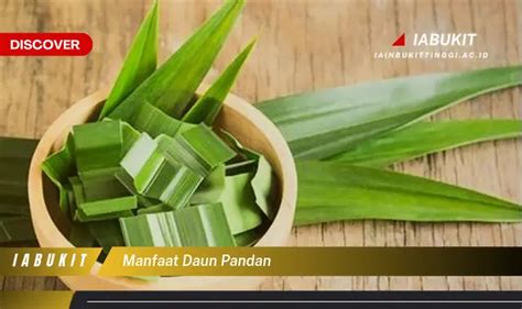 Intip 7 Manfaat Daun Pandan Yang Bikin Kamu Penasaran