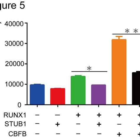 Stub1 Selectively Inhibited The Growth Of Runx1 Runx1t1 Leukemia Cells