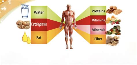Sources Of Nutrients ~ Health And Fitness Tips