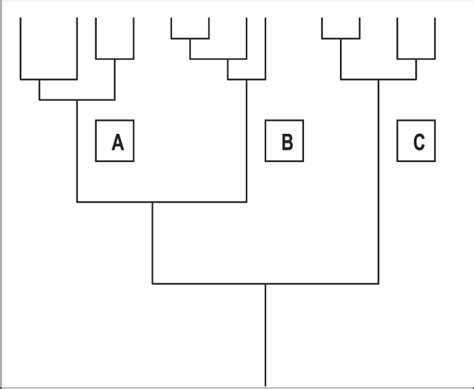 Dendrograms Of Zones According To Hierarchical Clustering Of The Zones